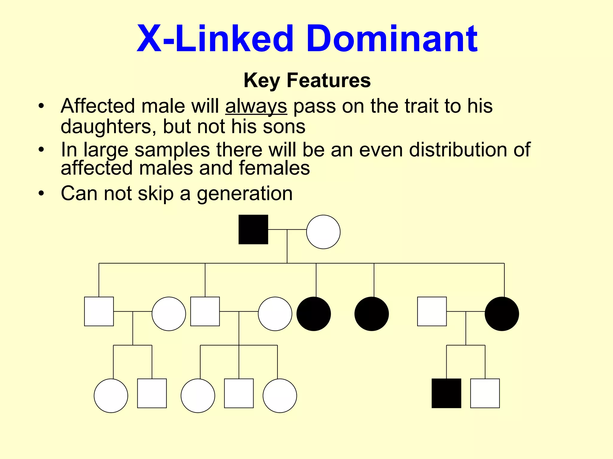 05 Inheritance | PPT