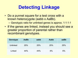 05 Inheritance | PPT