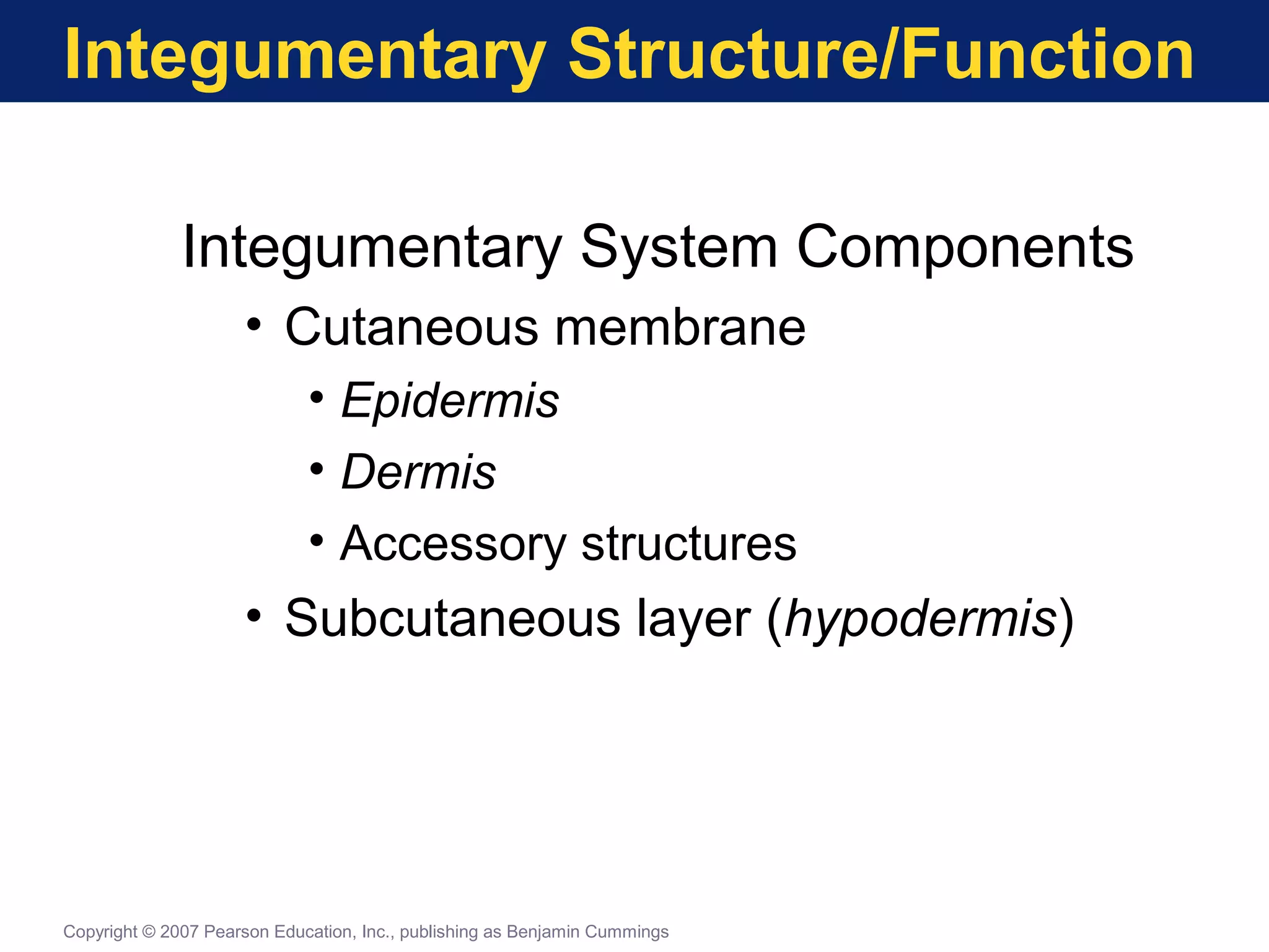 Integumentary | PPT