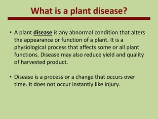 05 Introduction to Plant Pathology.pptx | Infectious Diseases ...