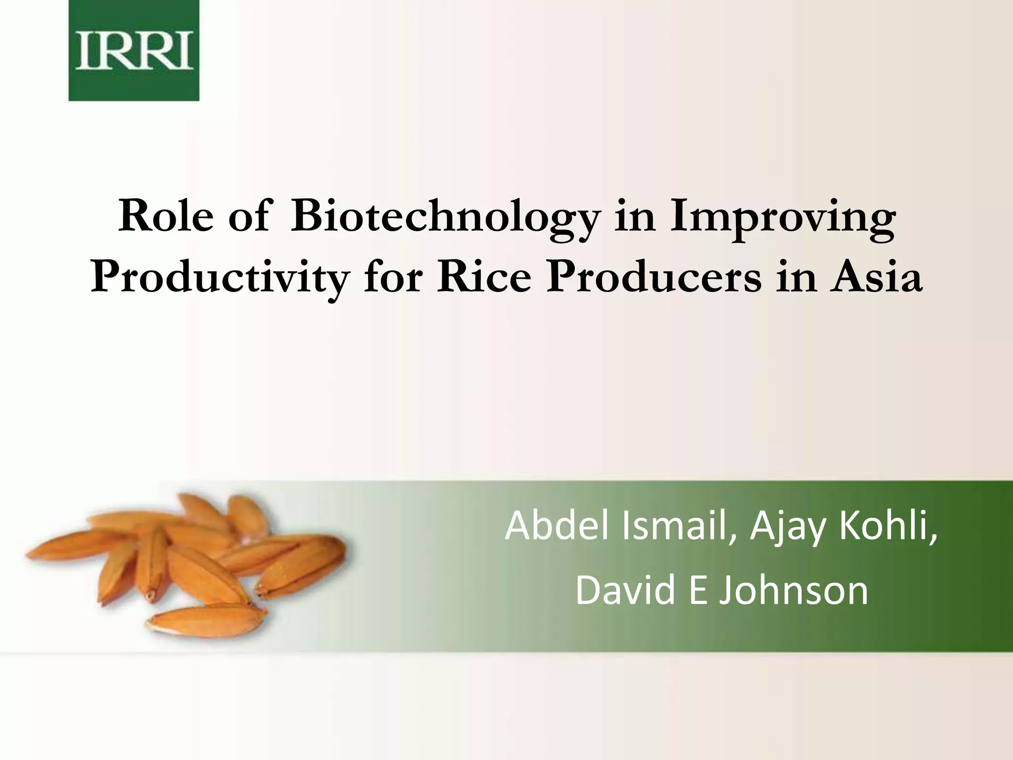 Role of Biotechnology in Improving Productivity for Rice Producers in ...
