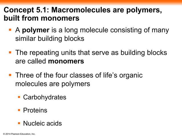 05 Lecture BIOL 1010-30 Gillette College | PPT