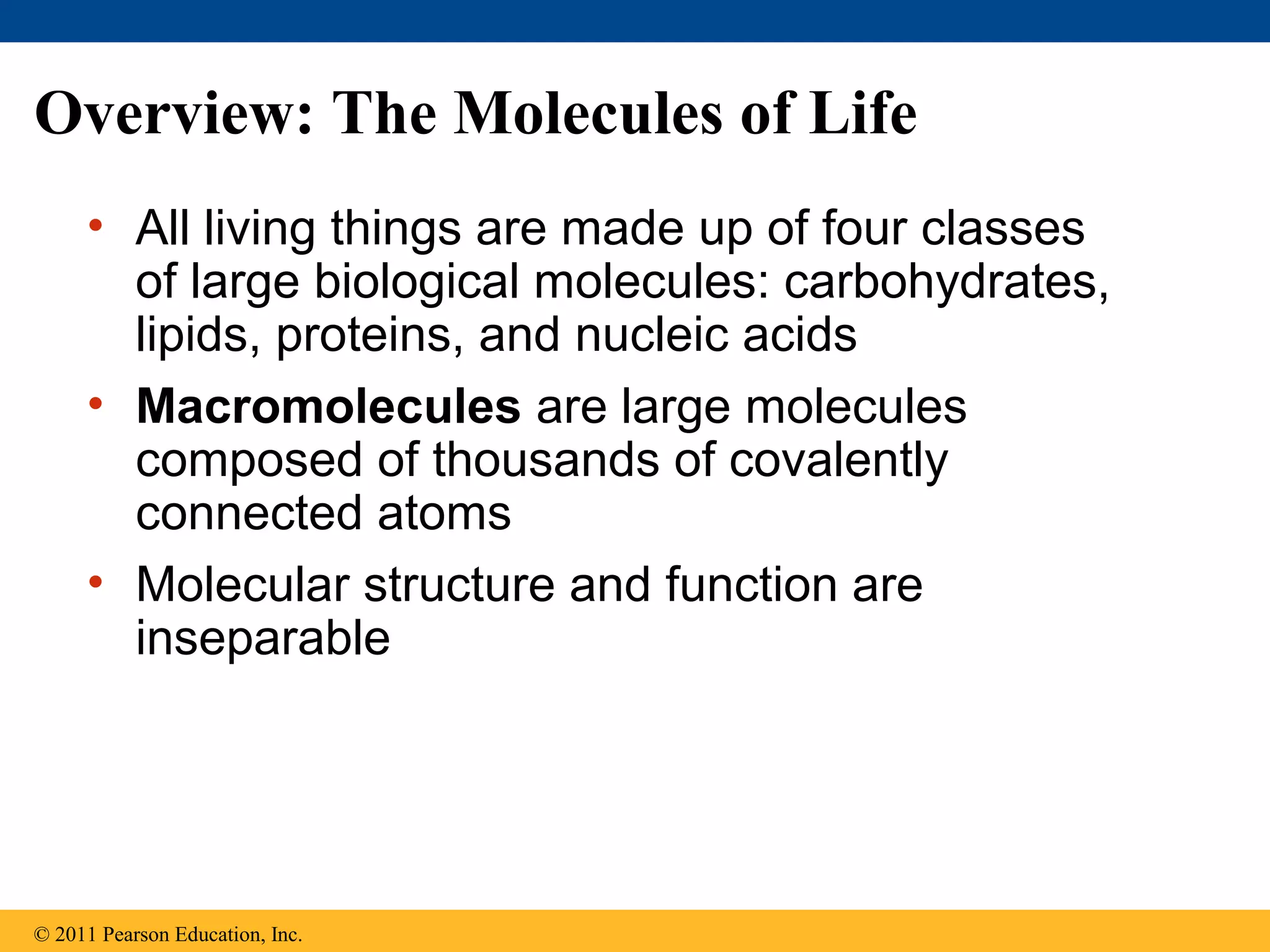 Ch 5: The Structure and Function of Large Biological Molecules | PPT