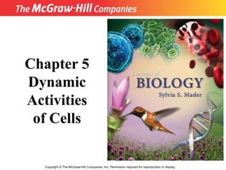 Hahahah kunin mona kaakakakabjskamanzsnskaka | PPT