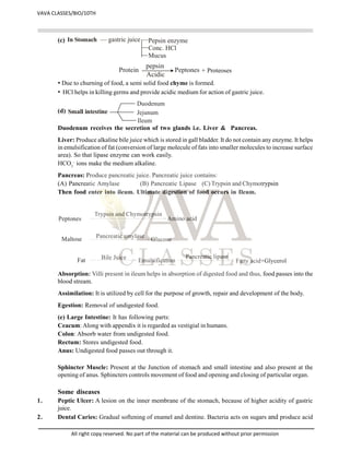 Notes of life processes class 10 pdf Download | PDF