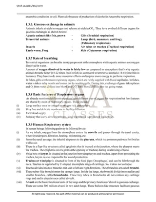 Notes of life processes class 10 pdf Download | PDF