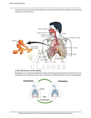 Notes of life processes class 10 pdf Download | PDF