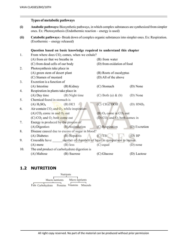 Notes of life processes class 10 pdf Download | PDF | Chemistry | Science