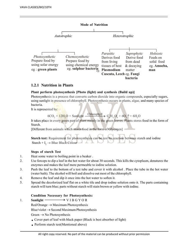 Notes of life processes class 10 pdf Download | PDF | Chemistry | Science