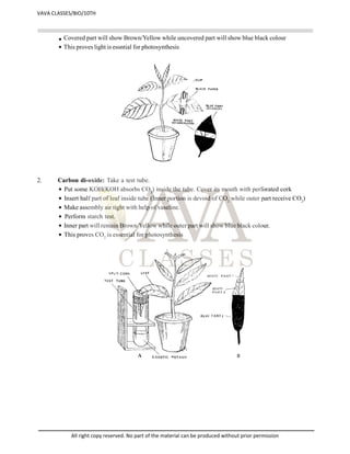 Notes of life processes class 10 pdf Download | PDF