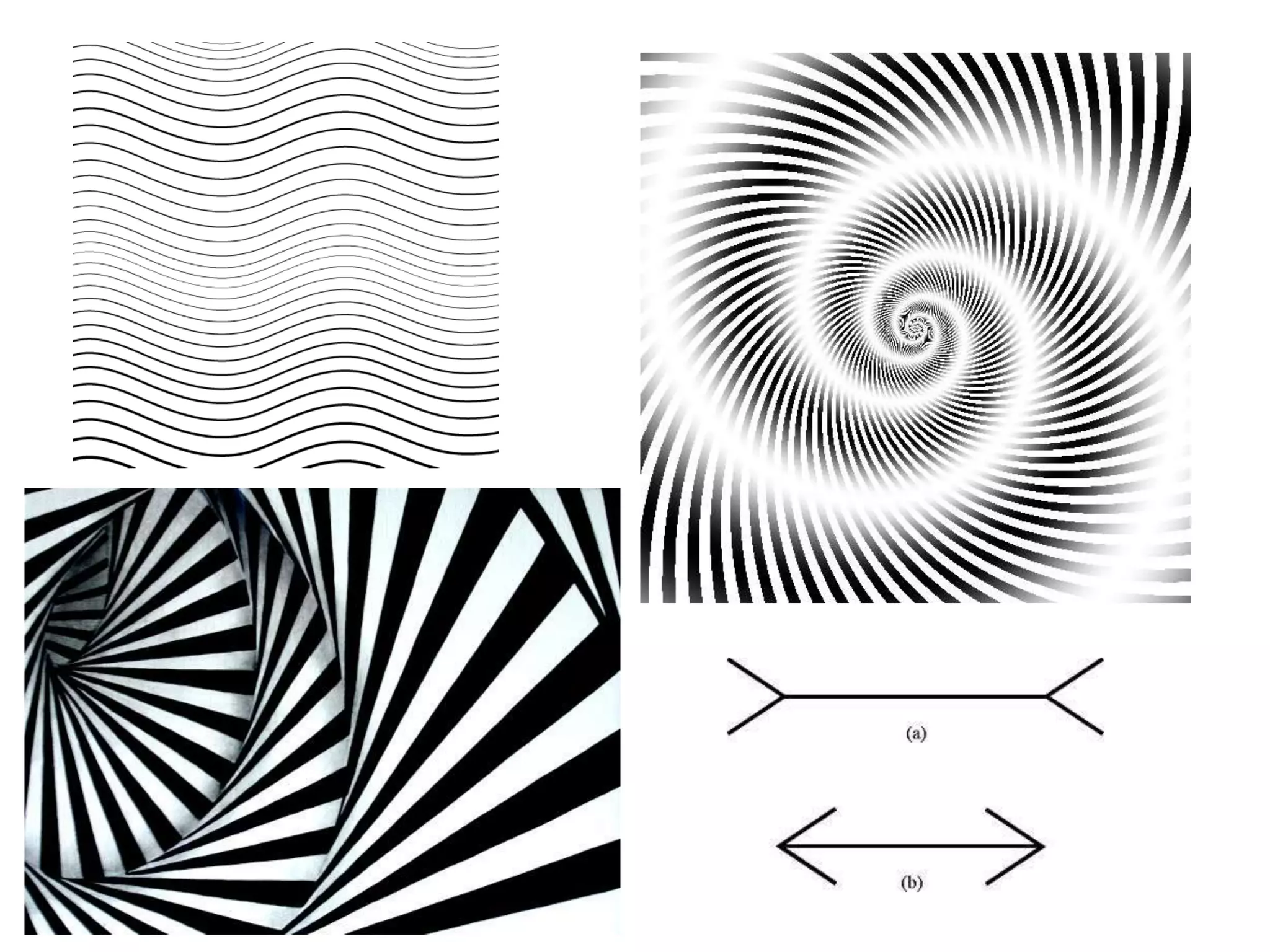 Line network word illusions | PPTX