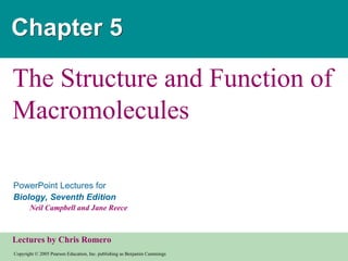 05_MACROMOLECULES lectures bio g_ppt.ppt