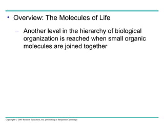 05_MACROMOLECULES lectures bio g_ppt.ppt