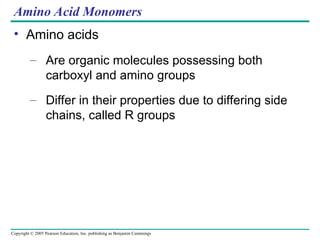 05_MACROMOLECULES lectures bio g_ppt.ppt