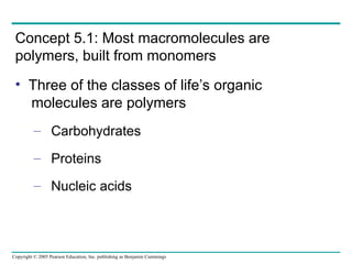 05_MACROMOLECULES lectures bio g_ppt.ppt