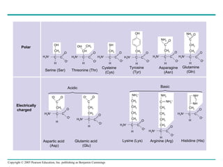 05_MACROMOLECULES lectures bio g_ppt.ppt