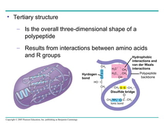 05_MACROMOLECULES lectures bio g_ppt.ppt