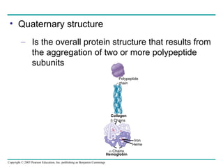 05_MACROMOLECULES lectures bio g_ppt.ppt