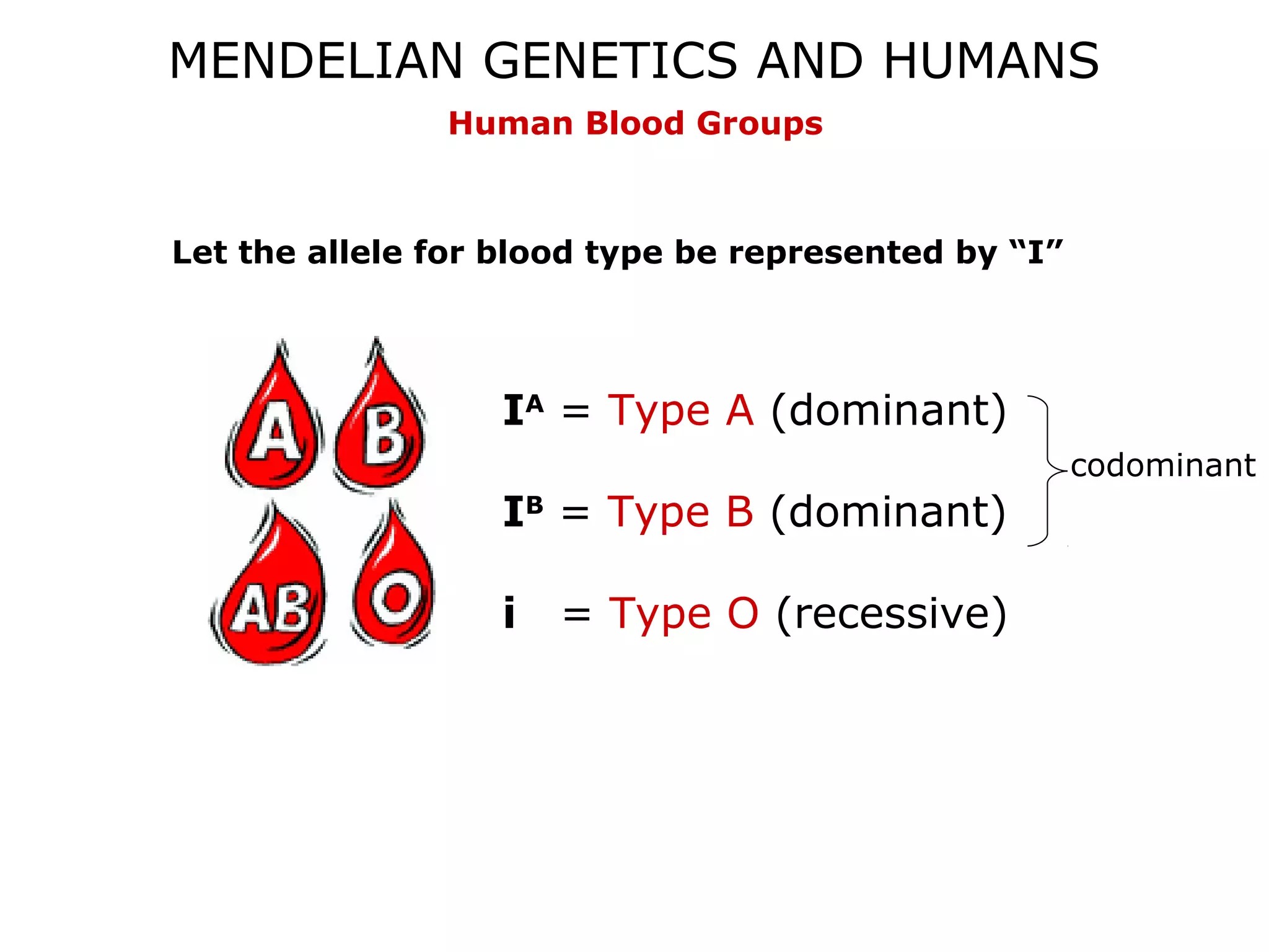 05 mendelian genetics and humans | PPT