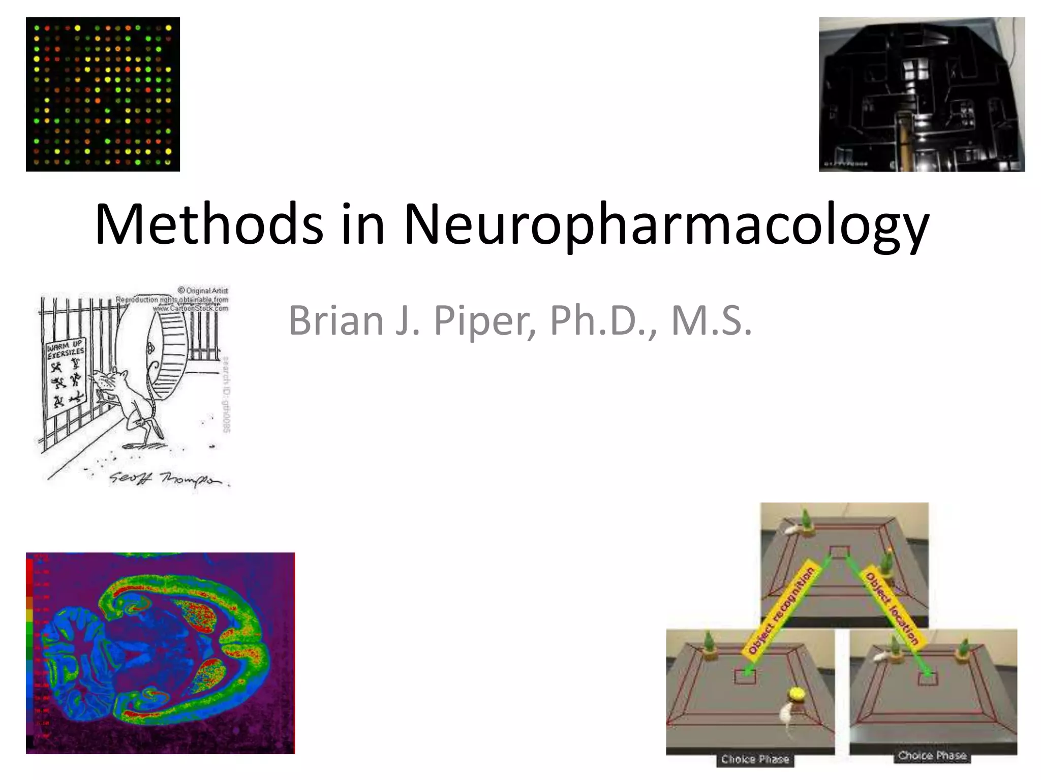 Neuropharmacology: Methods | PPT