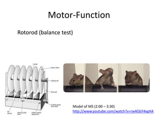 Neuropharmacology: Methods | PPTX