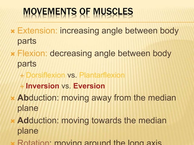 05 Muscular System.ppt222222222222222222 | PPT
