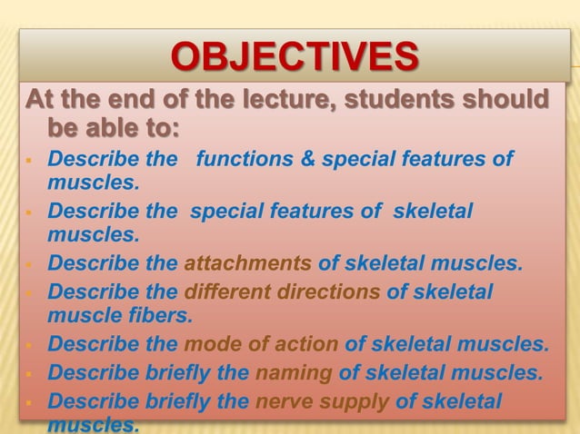 05 Muscular System.ppt222222222222222222 | PPT
