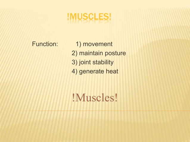 05 Muscular System.ppt222222222222222222 | PPT