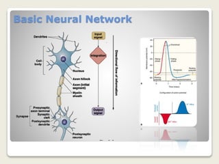 Natural neural networking | PPTX