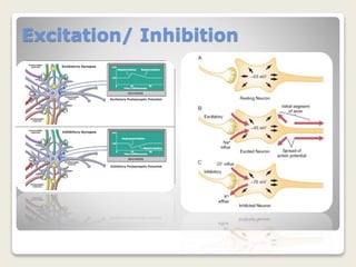 Natural neural networking | PPTX