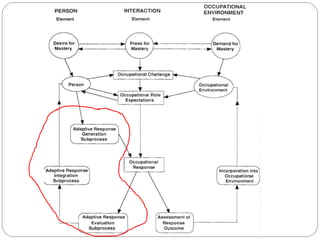 05 occupational adaptation oa | PDF