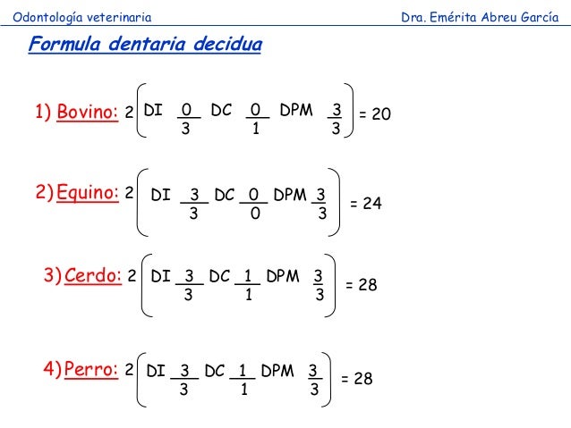 05 odontología veterinaria pt1 comparada