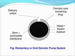 Osmotically controlled drug delivery system (OCDDS) | PPT