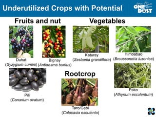 Country Status Reports on Underutilized Crops by Reynaldo V. Ebora ...