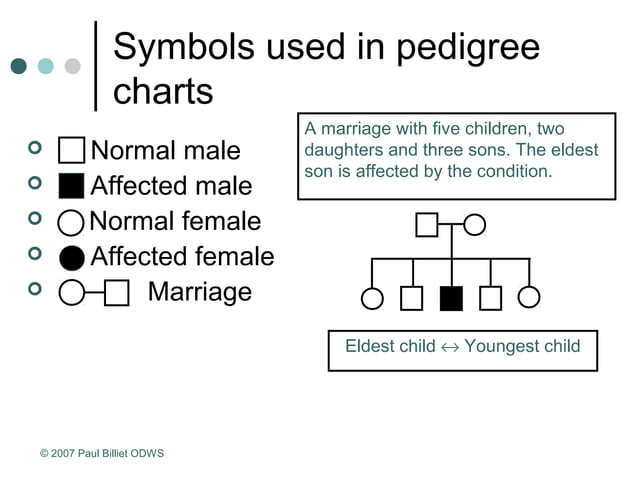 05 pedigree charts | PPT