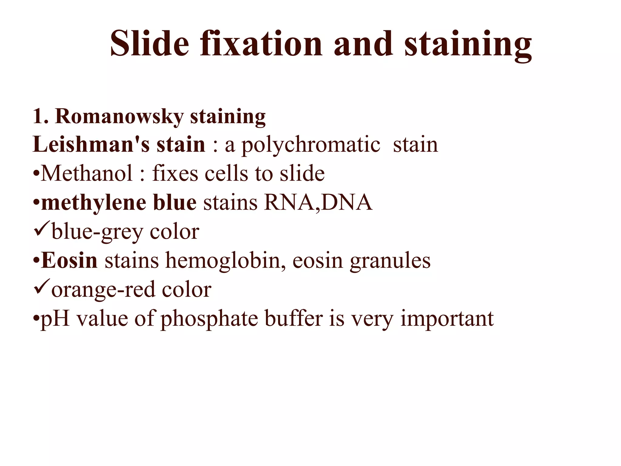 05 peripheral blood smear examination | PPTX
