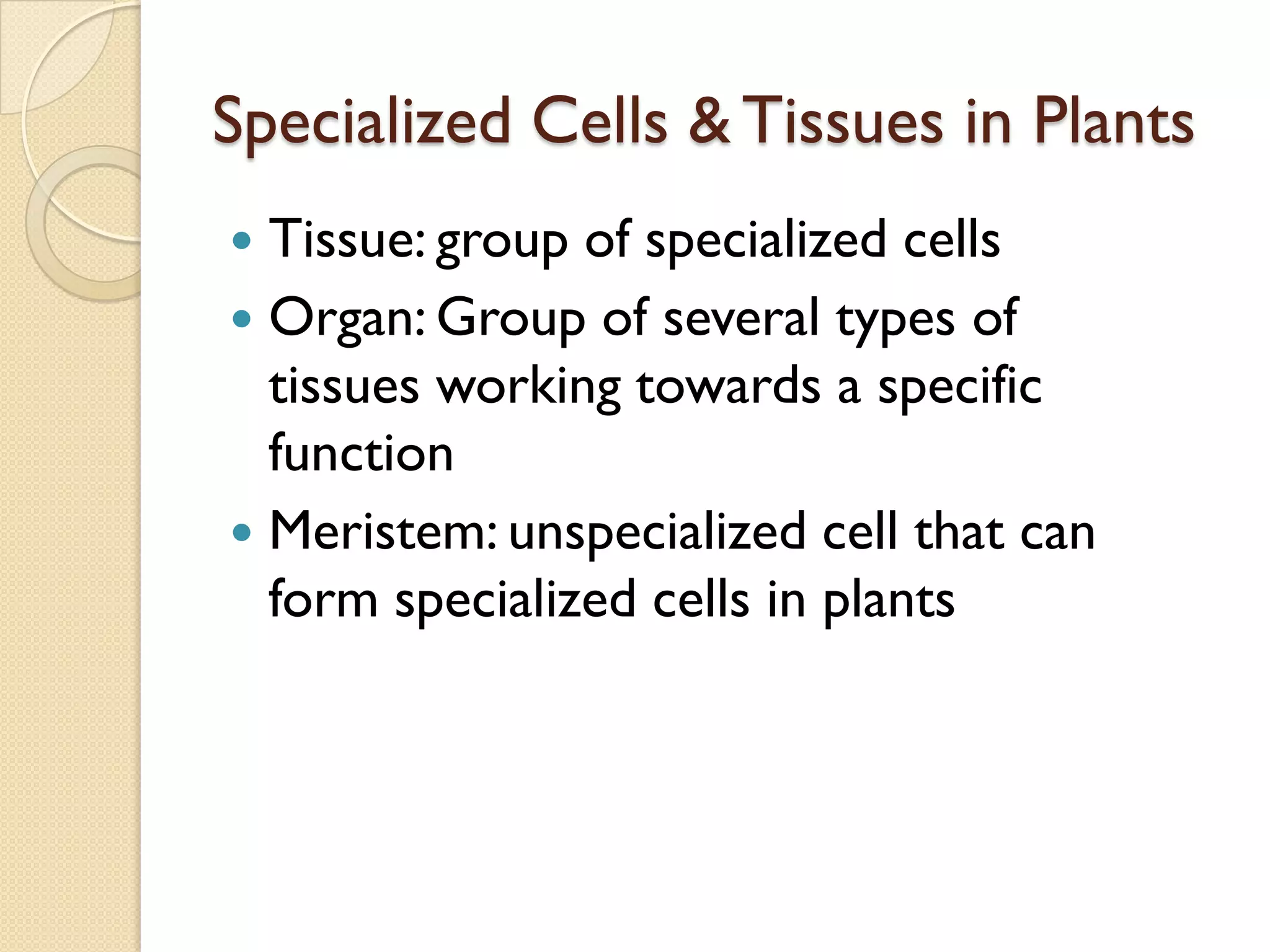 05 plant cells, tissues and organs | PPTX