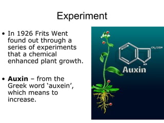05 plant responses to stimuli | PPT
