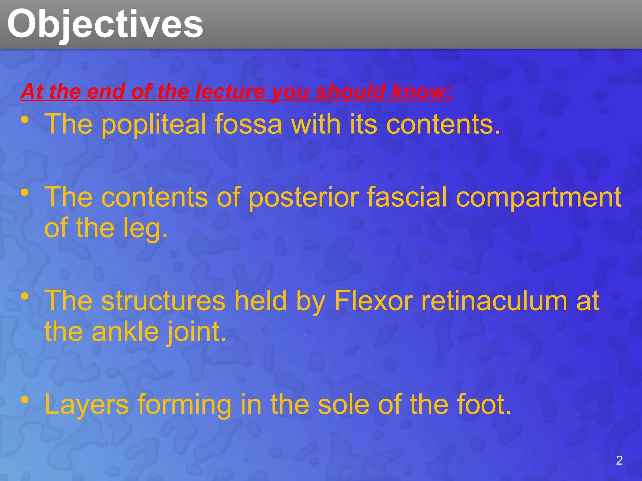 05 Popliteal fossa post Leg Sole of foot.pptx