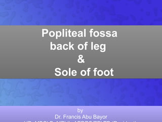 05 Popliteal fossa post Leg Sole of foot.pptx