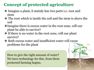 Protected Agriculture - Climate Smart Agriculture | PDF