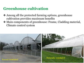 Protected Agriculture - Climate Smart Agriculture | PDF