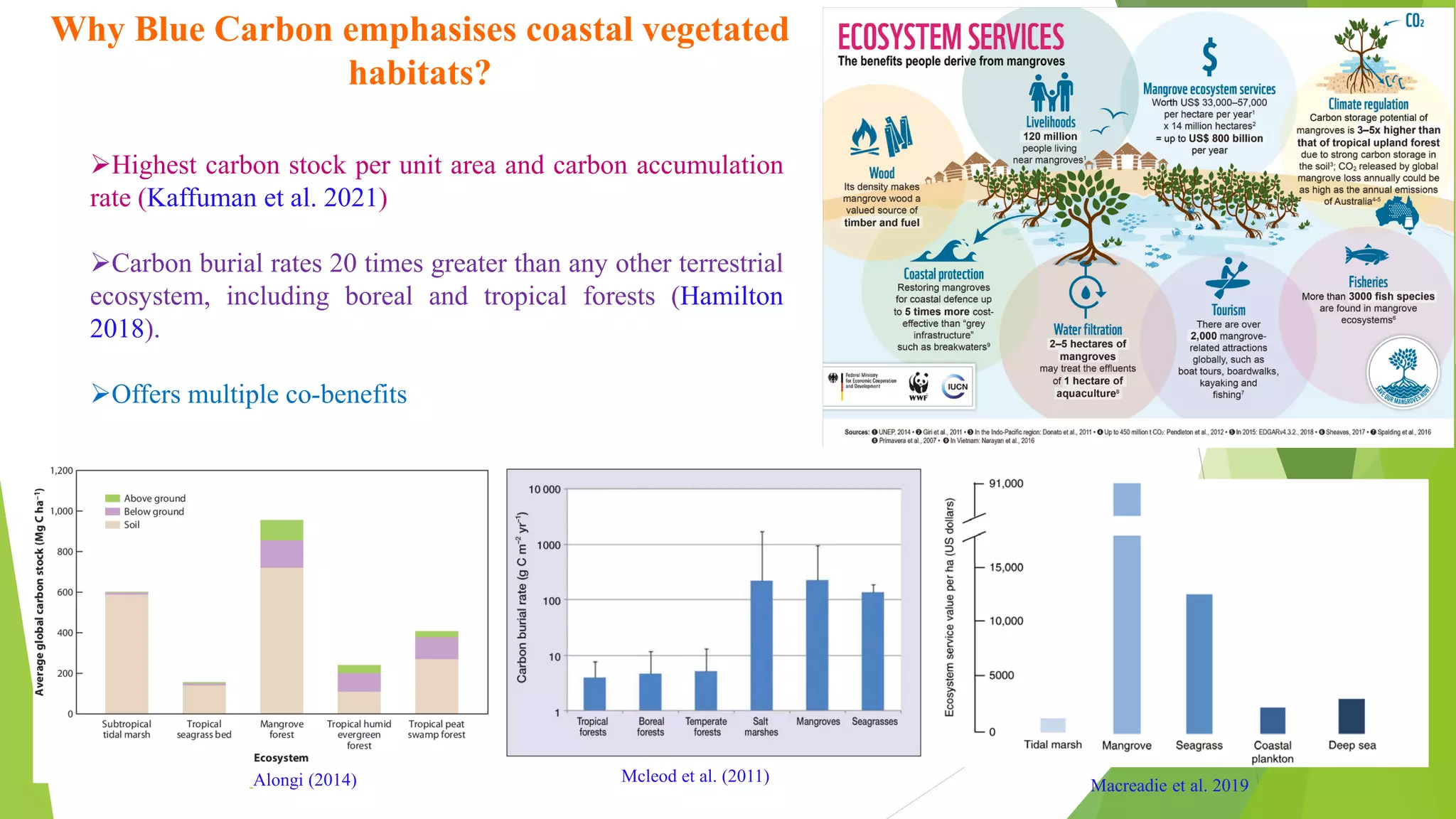 Mangrove carbon stocks: Island's perspective | PDF