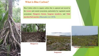 Mangrove carbon stocks: Island's perspective | PDF
