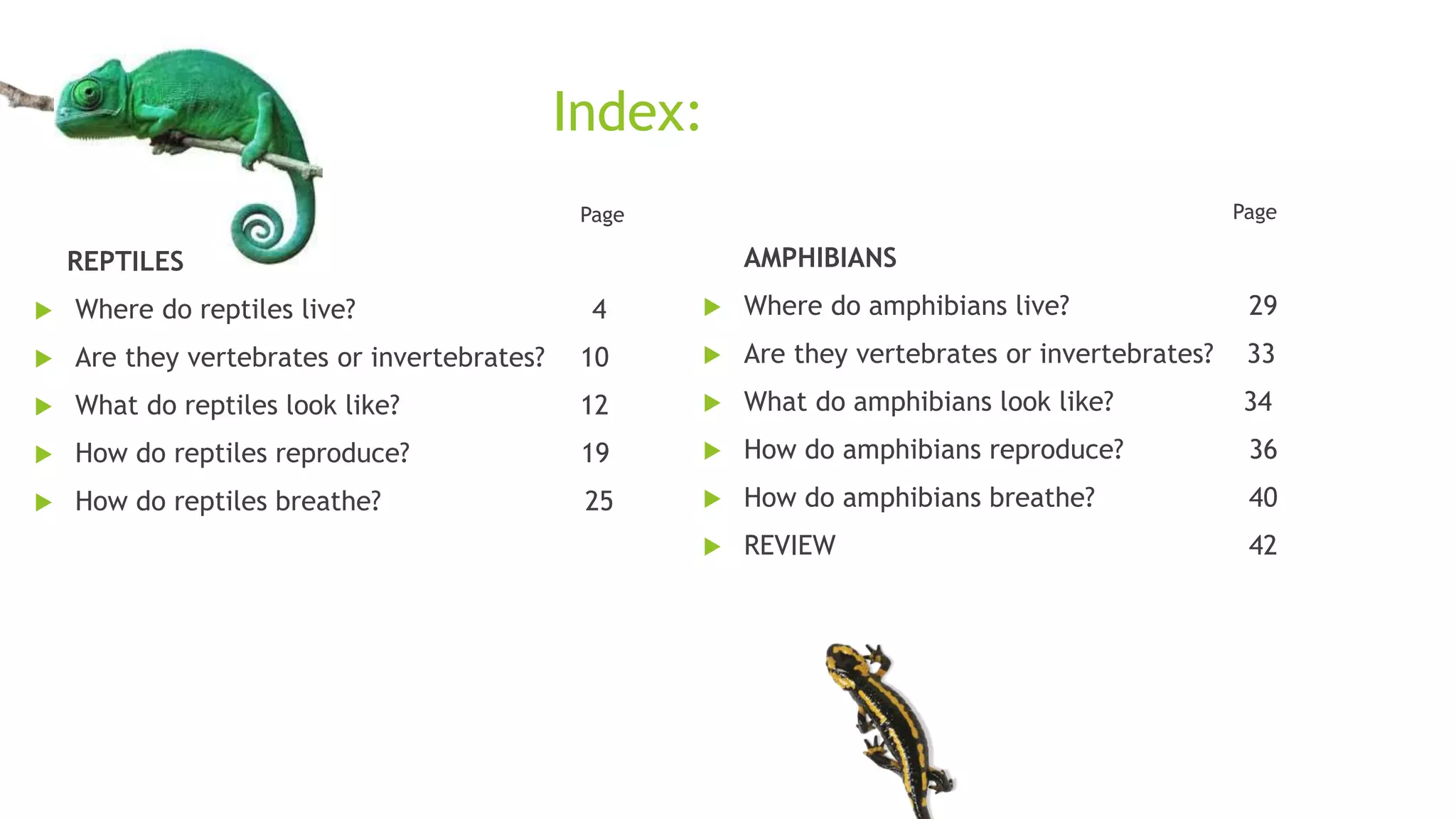 Reptiles and amphibians | PPTX