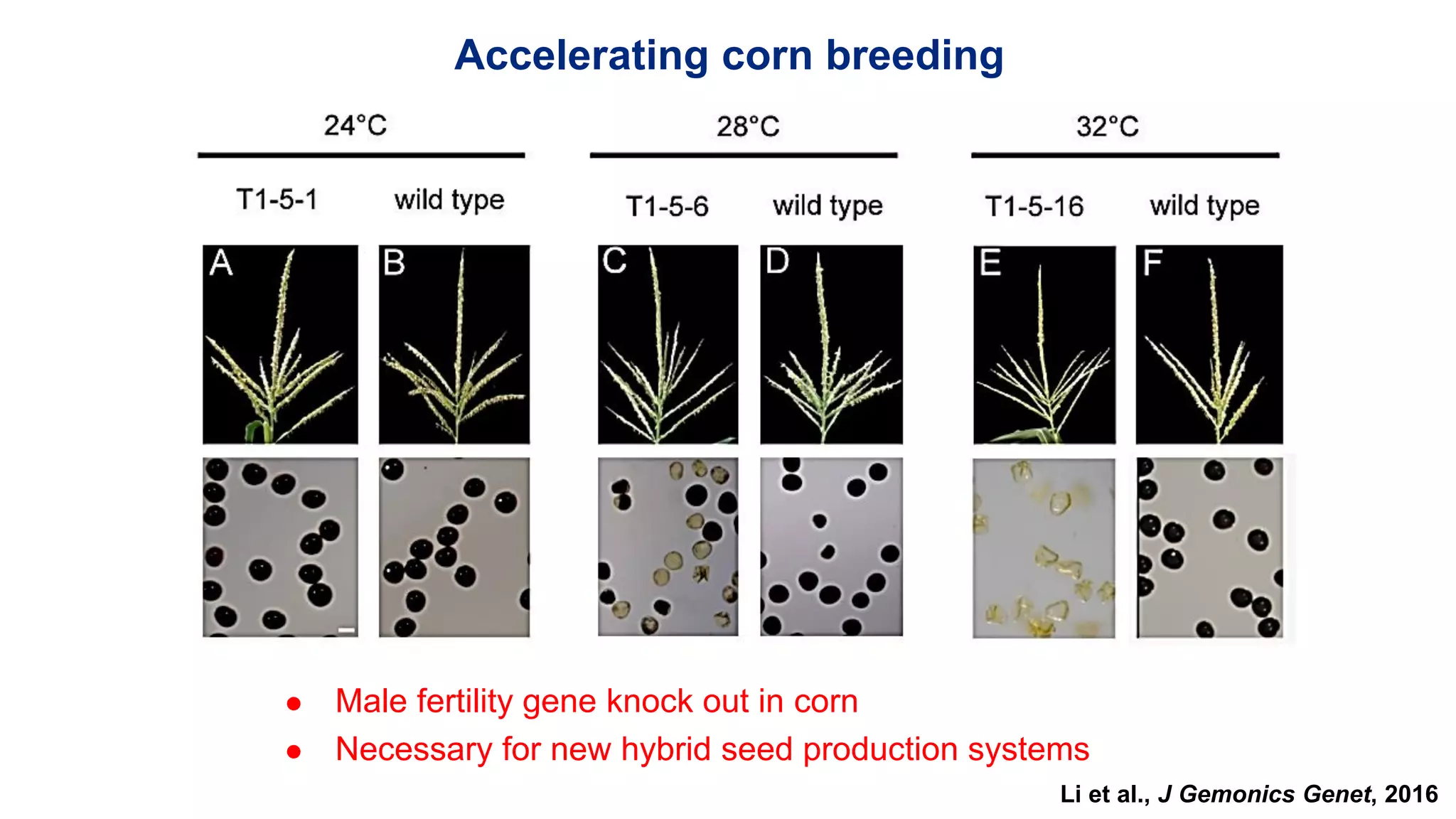 An overview of agricultural applications of genome editing: Crop plants ...
