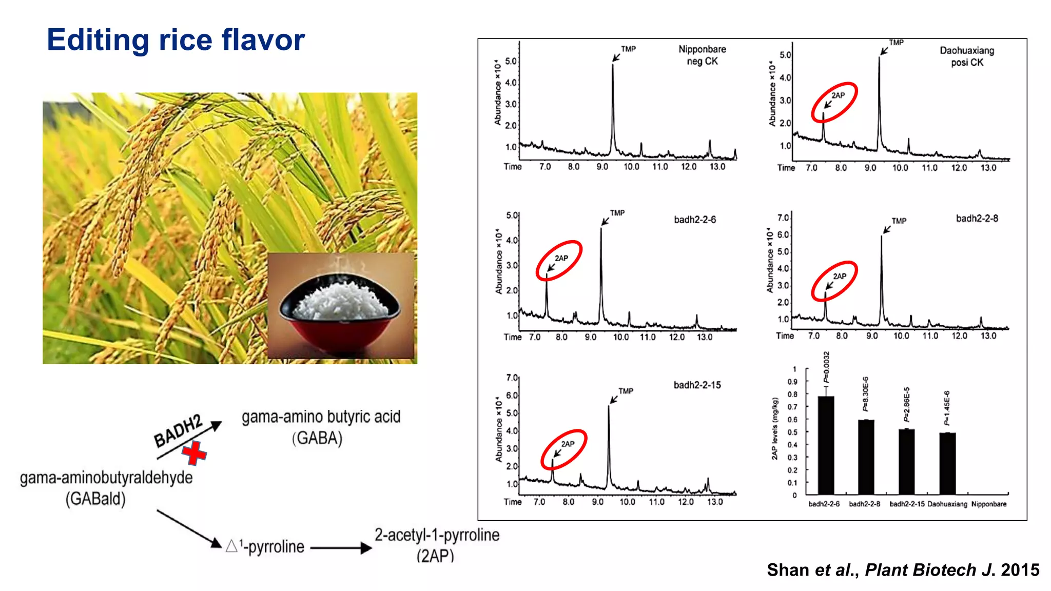 An overview of agricultural applications of genome editing: Crop plants ...