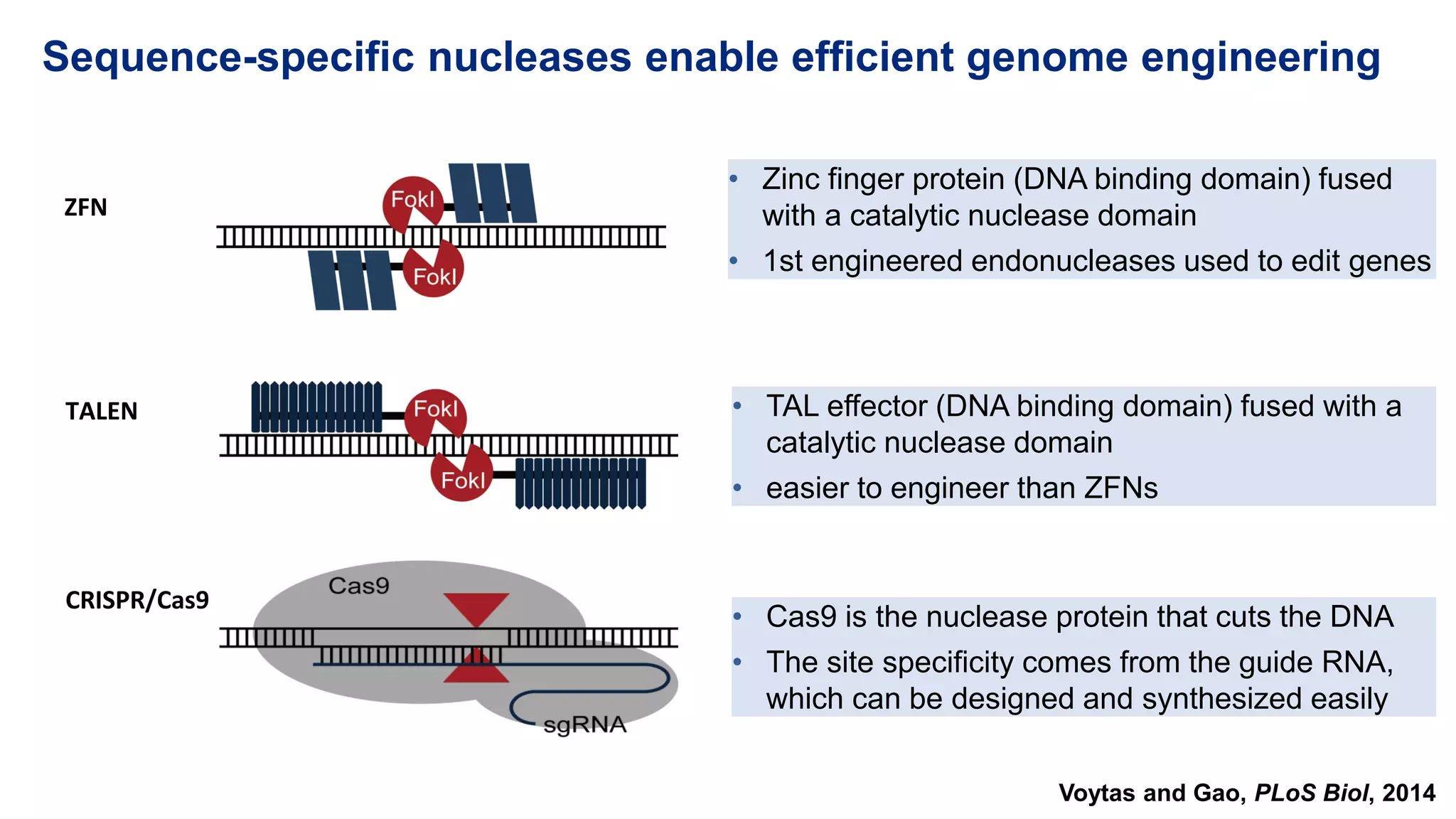 An overview of agricultural applications of genome editing: Crop plants ...