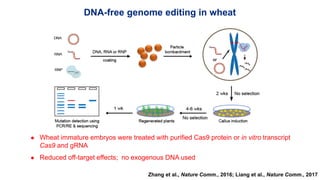 An overview of agricultural applications of genome editing: Crop plants ...