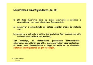 05 sales minerais | PDF